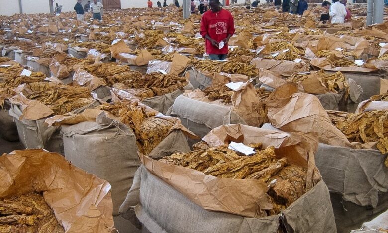 Media advocacy on tobacco control law vital – Prof Goma – Daily Nation