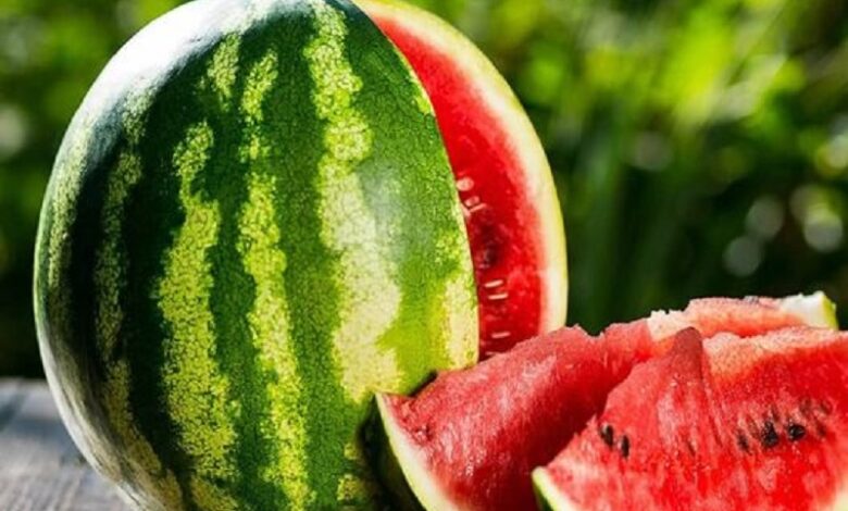 UPND brings back ‘Operation Watermelon’ – Daily Nation