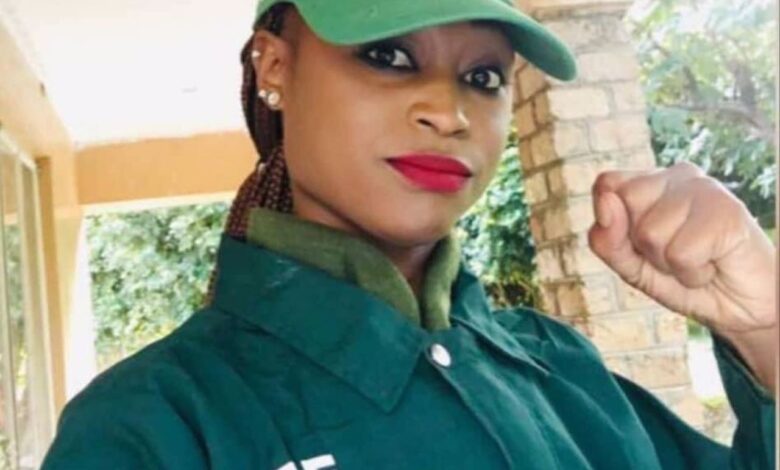 Court declares Chisenga as duly elected Mambilima MP – Daily Nation