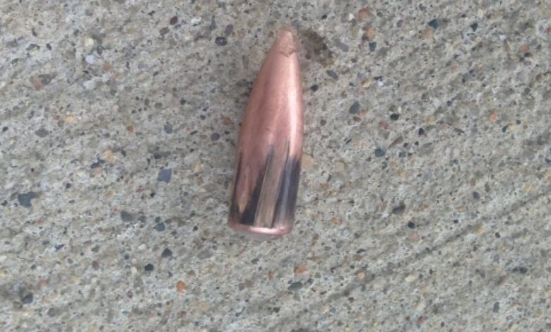 Stray bullet injures two women, truck driver detained – Daily Nation