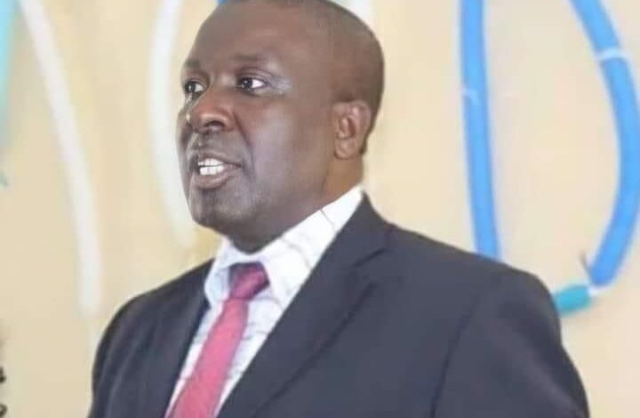 GMO mealie meal only for border area – Mtolo Phiri – Daily Nation