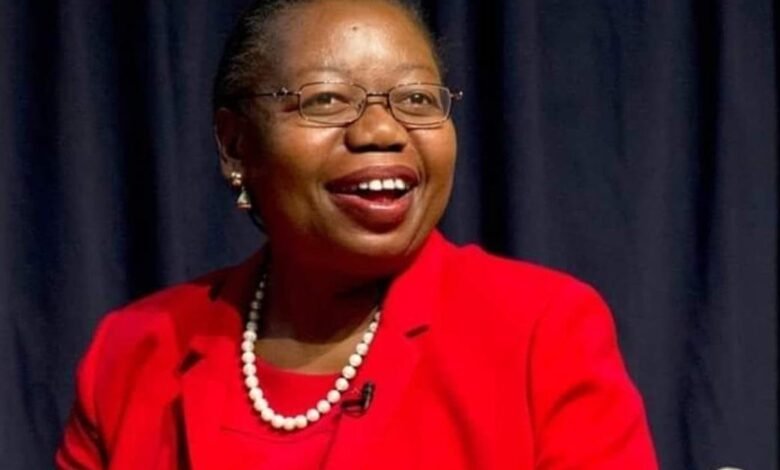 RESIGNATION OF ZCCM-IH BOARD CHAIRPERSON DISSAPOINTS MINORITY ...