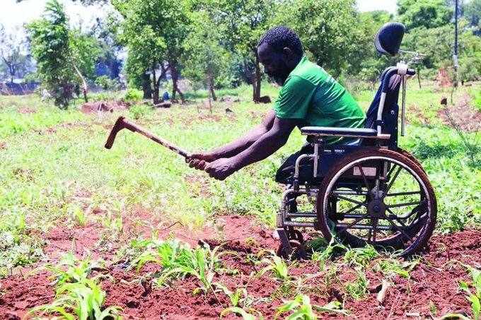 FARMERS WITH DISABILITIES – Daily Nation