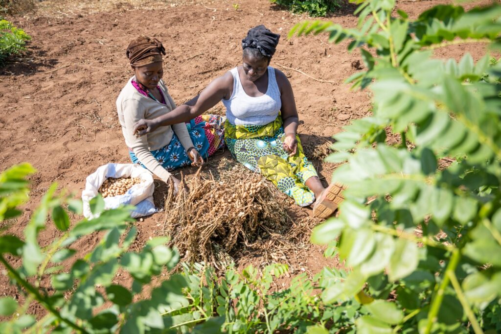 COMACO: Transforming Lives and Conserving Zambia’s Wildlife – Daily Nation